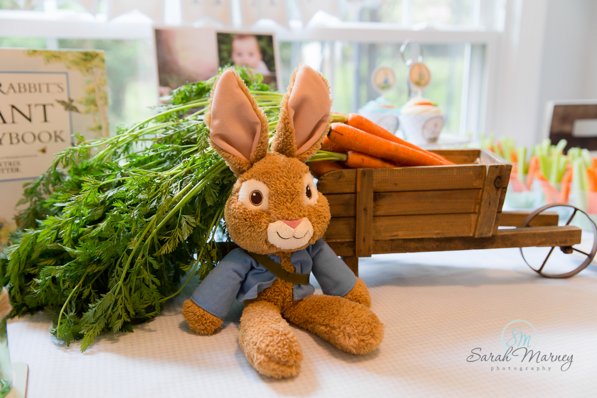12 Ideas for a Peter Rabbit Party * The Holidaze Craze