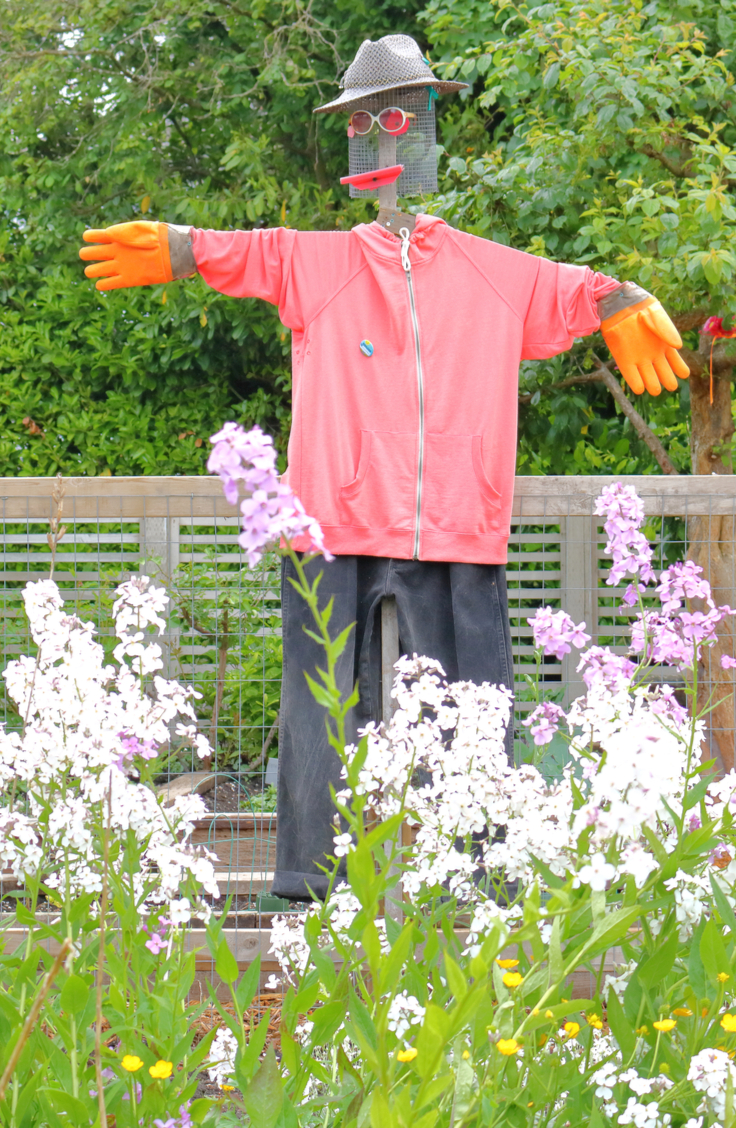 Fall Family Night: How To Build A Scarecrow * The Holidaze Craze